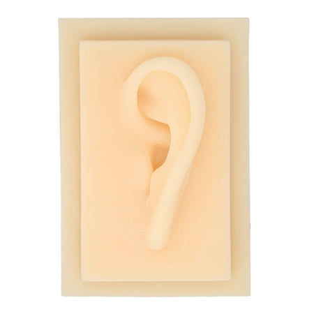 Silicone Ear, Safe Practical Fake Ear Glossy Texture For Teaching ...