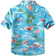 SSLR Youth Hawaiian Aloha Shirt - Tropical Apparel, Button Down Short Sleeve Luau Shirt for Kids ...