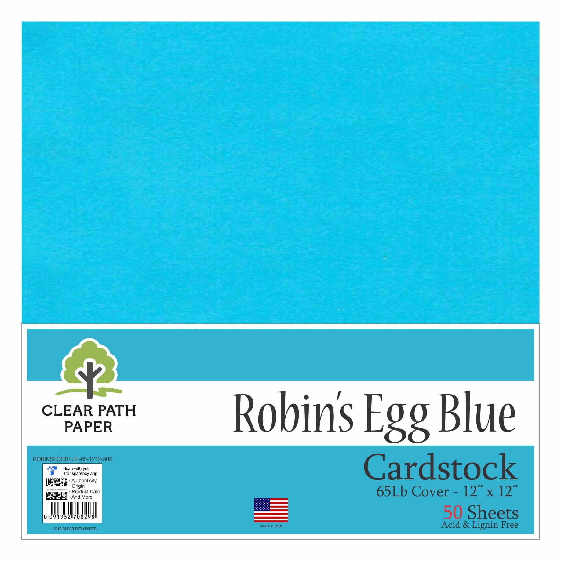 Robin's Egg Blue Cardstock - 12 x 12 inch - 65Lb Cover - 50 Sheets ...