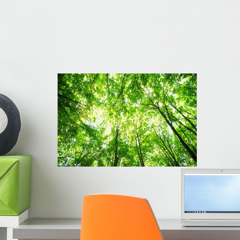 Forest Wall Mural by Wallmonkeys Peel and Stick Graphic (18 in W x 12 ...