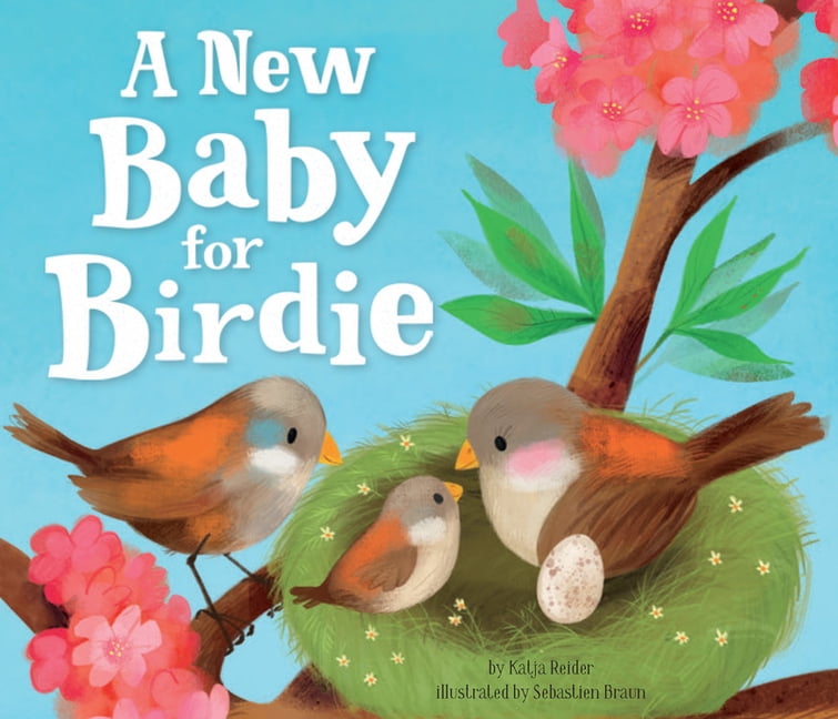 Clever Family Stories: A New Baby for Birdie (Board Book) - Walmart.com ...