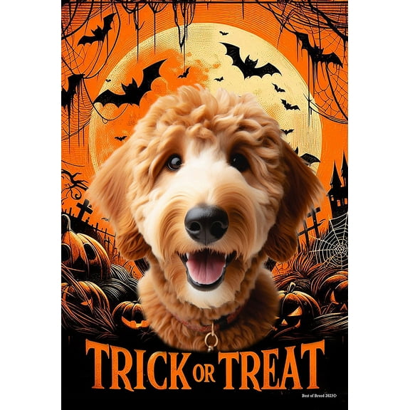 Afghan - Best of Breed Valentines Day Outdoor Garden Flag 12" x 17 ...