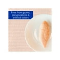 INABA Premium Hand-Cut Grilled Chicken Fillet Cat Treats w Vitamin E, 0.9 oz, 6-Pack, Chicken ...