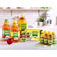 Mott's 100% Juice Fruit Punch Juice, 8 fl oz, 6 Count Bottles - Walmart.com