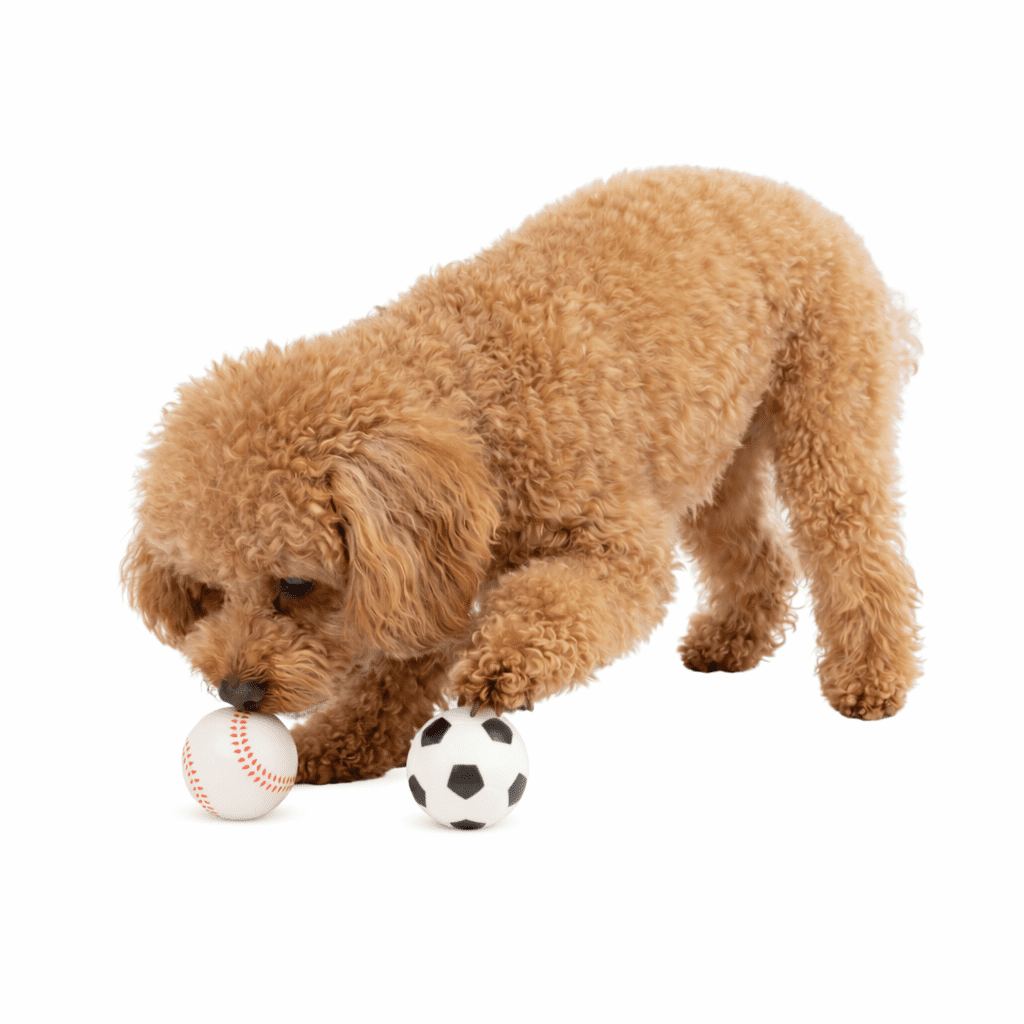 Click here for One Paw  2-Pack Foam Ball Set  Baseball And Soccer... prices