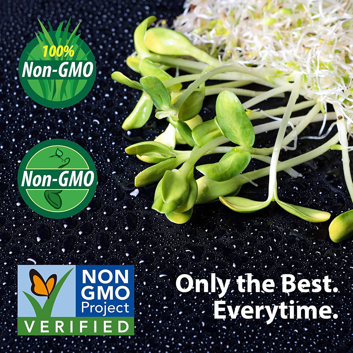 Morris Heading Collards Seeds - 1 Lb ~128,000 Seeds - Heirloom Micro ...