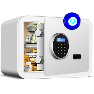 First Alert 2087F-BD Waterproof and Fire-resistant Bolt-down ...