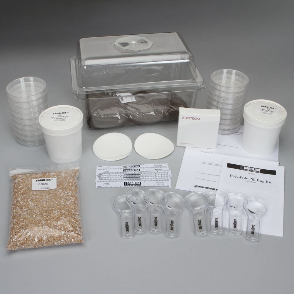 Roly-Poly Pill Bugs Kit, Mixture Of Pill Bugs And Sow Bugs - Walmart.com