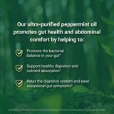 IBgard Digestive Gut Health Supplement for a Combination of Occasional ...