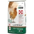 Purina Layena+ High Protein Layer Chicken Feed, 40 lb. Bag - Walmart.com