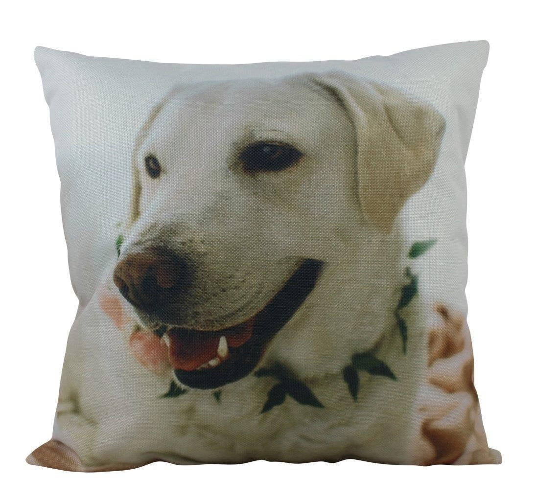 Labrador | Animals | Dog Pillow | Labrador Retriever | White Labrador ...