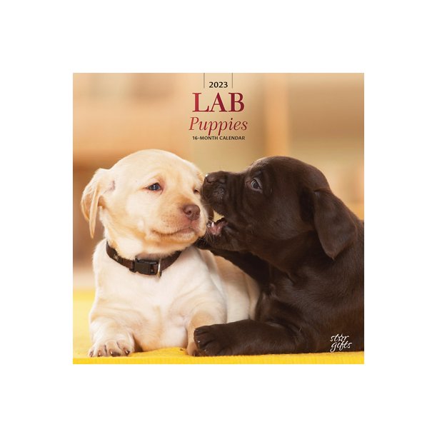 Lab Calendar