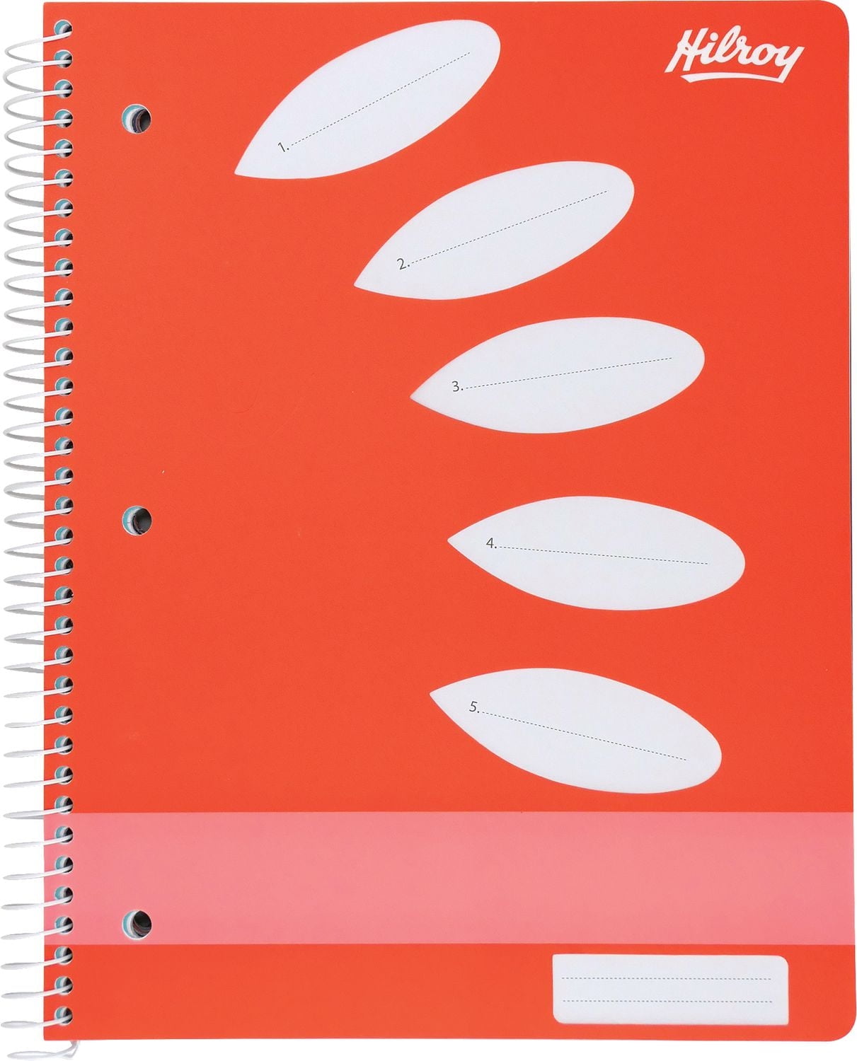 Hilroy Poly Notebook, 250pg Poly 5-Subject Notebook - Walmart.ca