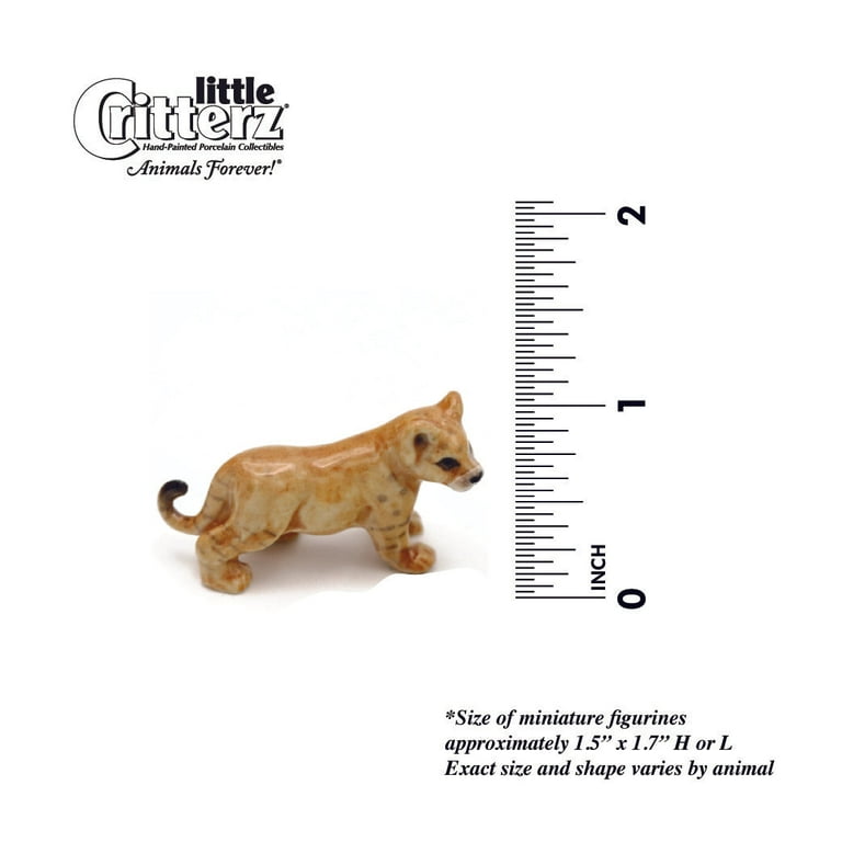 Lion Cub Size