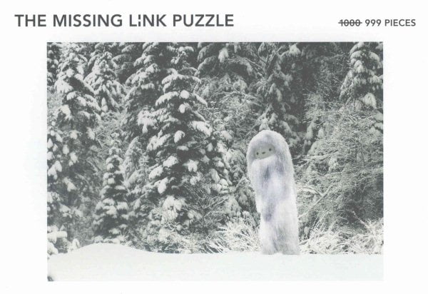 The Missing Link Puzzle Walmart Walmart the-missing-link-puzzle-walmart-walmart