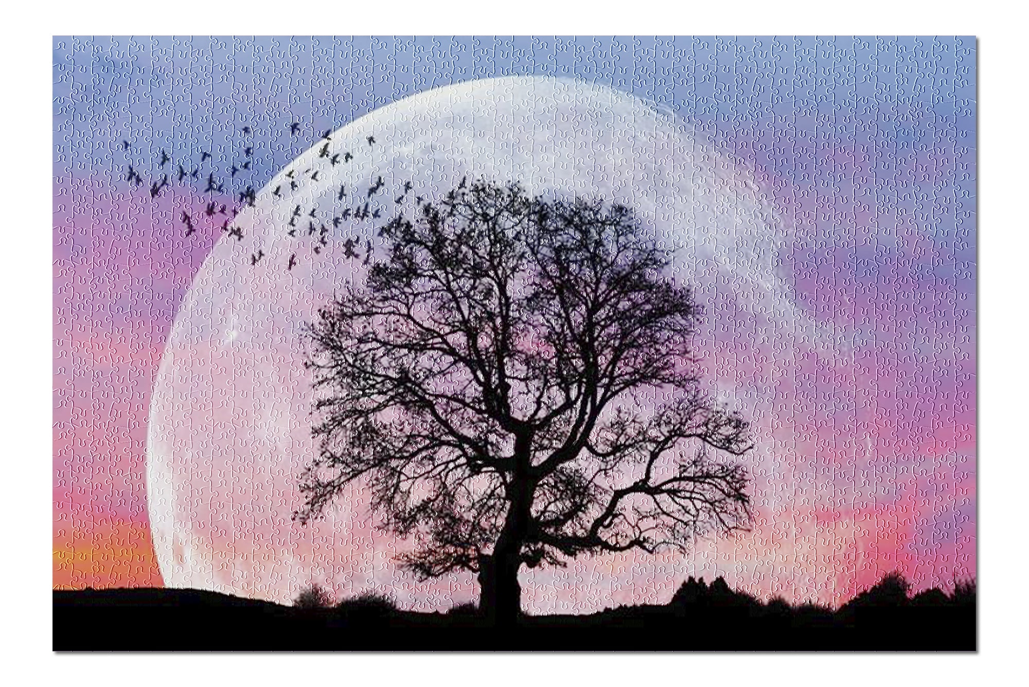 Paintings Of Trees At Night With Birds