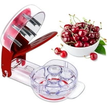 Kitchen Gadget Stainless Steel Cherry Pitter Tool - 6 Cherries at Once ...