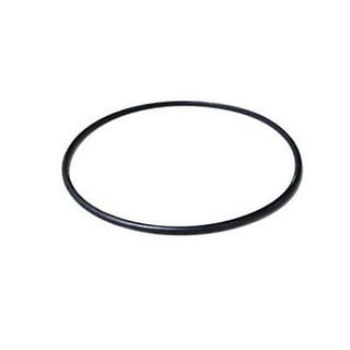 Sea-Doo New OEM Oil Filter Rubber O-Ring, 420950860 - Walmart.com