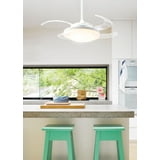 Fanaway Evo2 Retractable 4-blade Lighting with Remote Ceiling Fan ...
