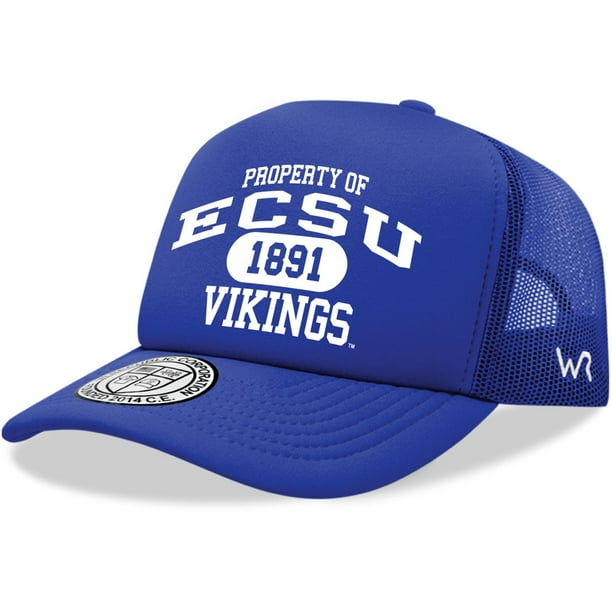 Ecsu Logo