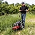 Earthquake Gas Grass Trimmer, Walk Behind String Mower with 160cc Viper ...