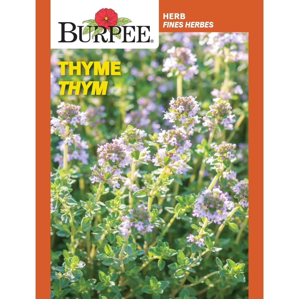 Click here for Burpee Canada Burpee Thyme Herb Seed prices