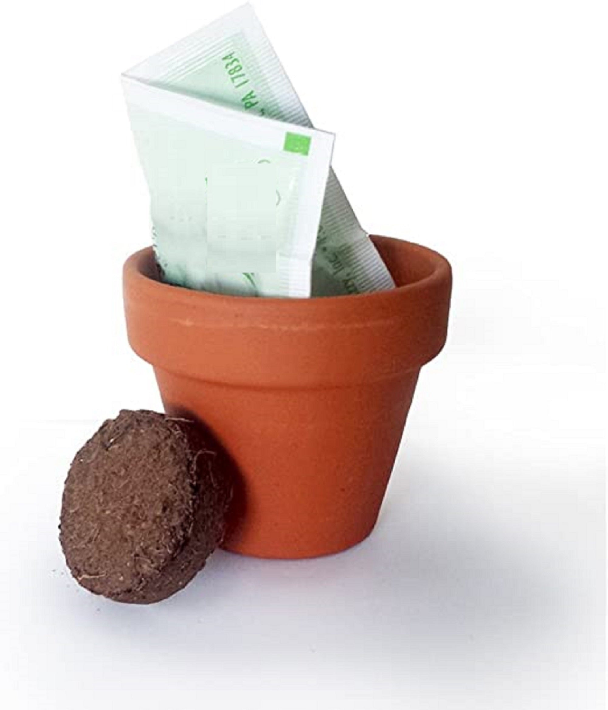 Terracotta Mini Grow Pot Kit | Assorted | Best Gardening Gifts, Favors ...