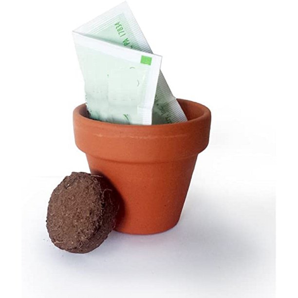 Terracotta Mini Grow Pot Kit | Assorted | Best Gardening Gifts, Favors ...