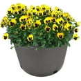 SEBLAFF Trade Heavy Duty Huge Premium Nursery Pot Root Garden Container ...