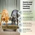 Iconic Pet Raised Wooden Pet Double Diner with Stainless Steel Bowls ...