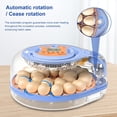 24 Egg Incubator for Hatching Eggs with Temperature and Humidity ...