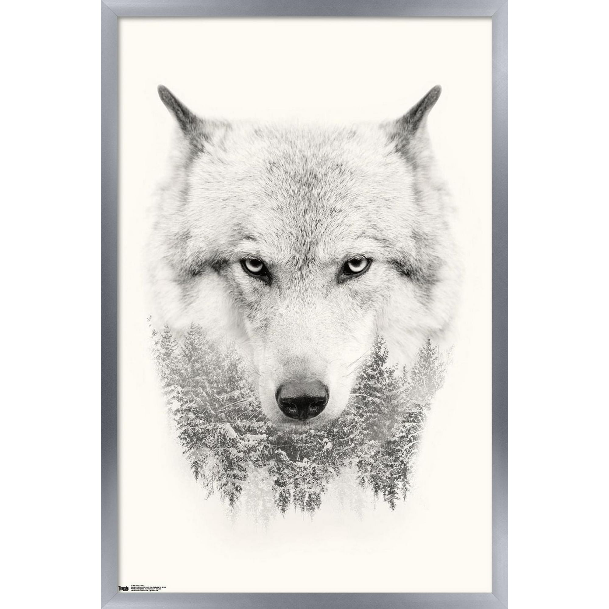 Click here for Trends International Wolf - Trees Wall Poster  22.... prices