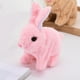 Techinal Electric Rabbit Toy Plush Bunny Battery Operated Hopping ...