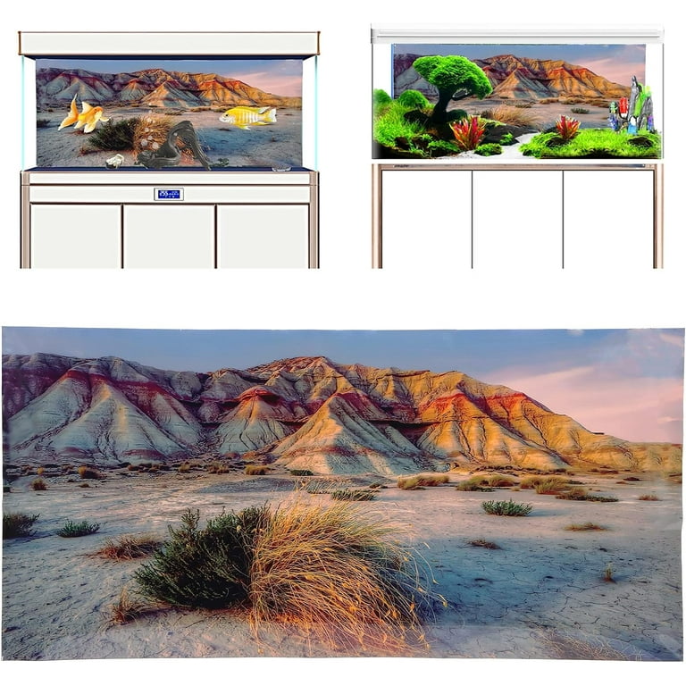 Desert Terrarium Background