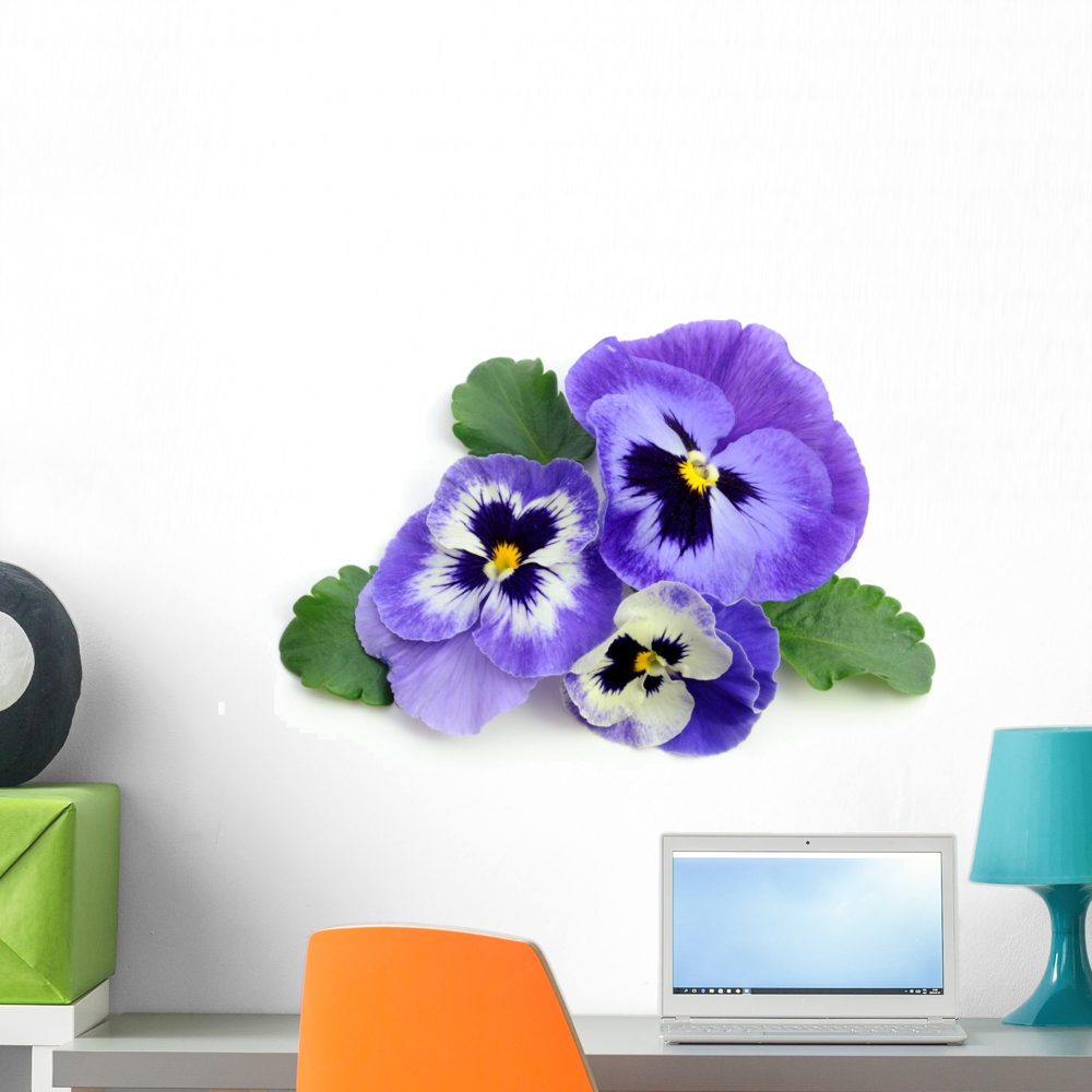 Pansy Wall Decal by Wallmonkeys Peel and Stick Graphic (24 in W x 16 in ...