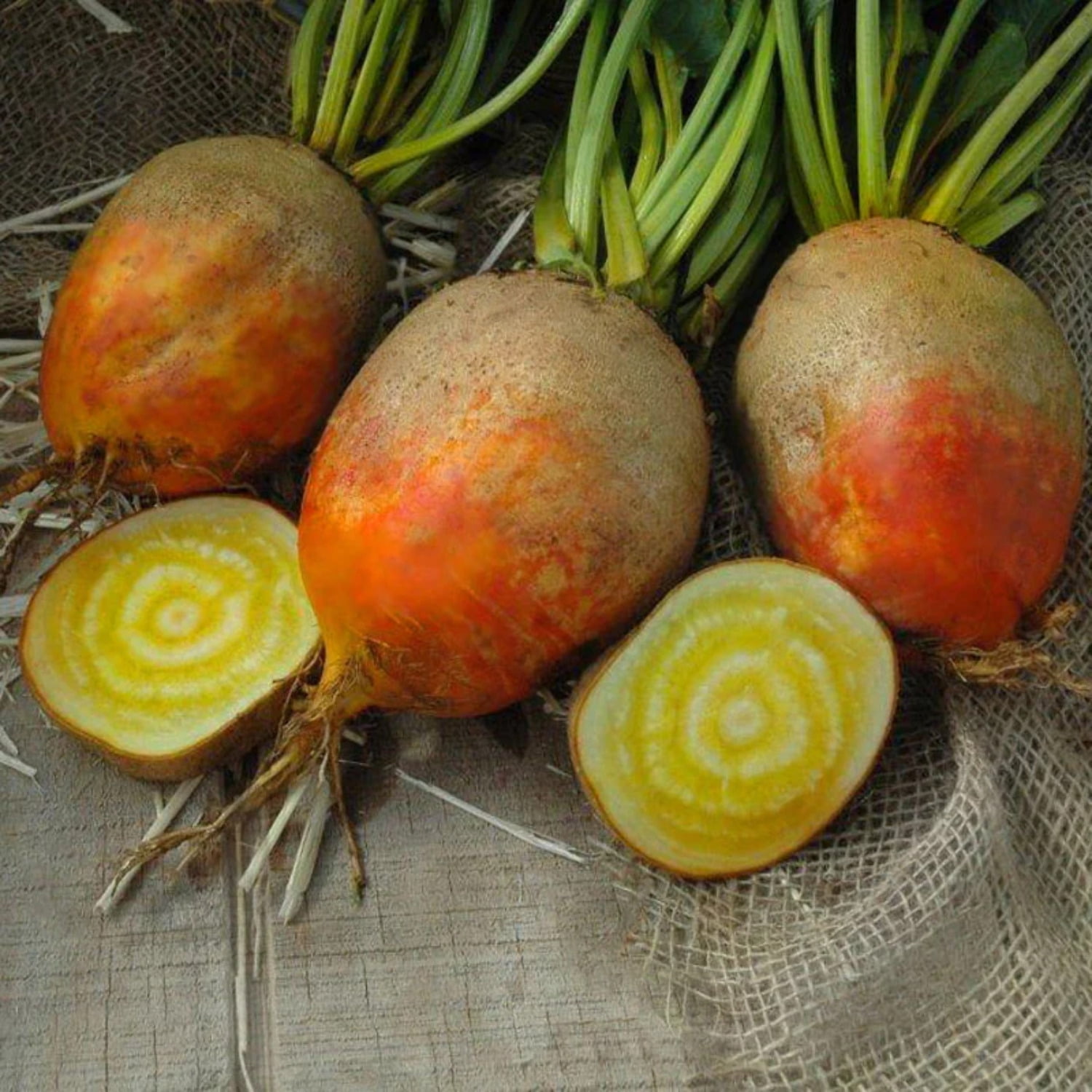Beet Touchstone Gold Seed - Walmart.com