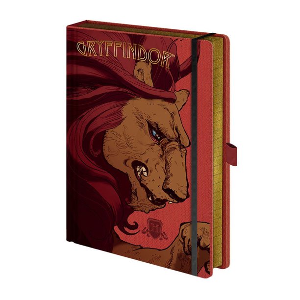 Harry Potter Gryffindor Premium A5 Notebook - Walmart.com