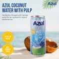 Azul Coconut Water With Pulp, Natural Hydrating Coconut Elixir, (24x16 ...