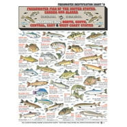 QuickStudy Bar Chart: Weights & Measures - Walmart.com