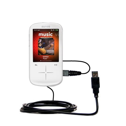 Sandisk Charging Cable