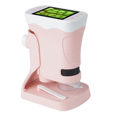 4D Vision Dog Anatomy Model - Walmart.com