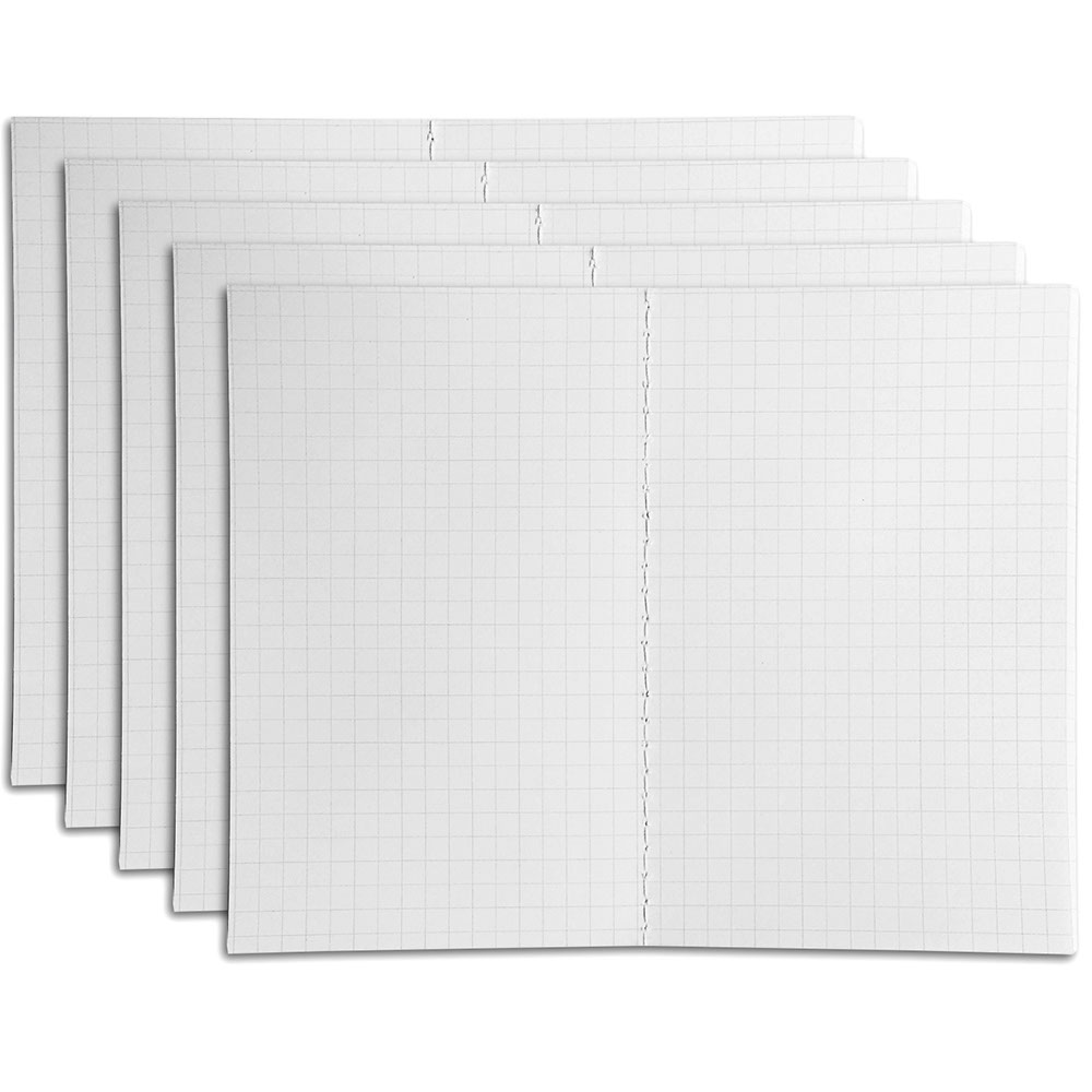 Field Notes Notebooks 5 Pack | Small Field Memo Book Notepad Refill for ...