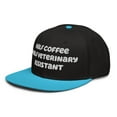 Vet Tech Snapback Hat, Half Coffee Half Veterinary Assistant ...