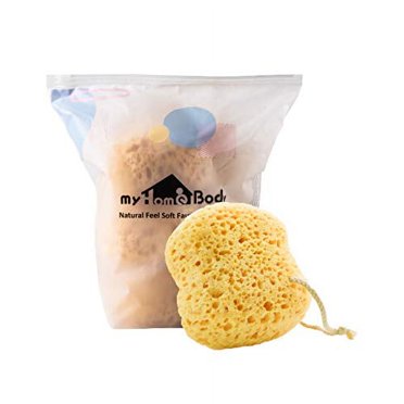 Hydra Sponge Hydra Fine Pore Body Sponge Large - FSB-3 - Walmart.com