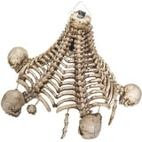 Ossuary Skulls Bones and Spines Pentagonal Ceiling Chandelier Light ...