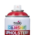 Tulip Color Shot Outdoor Uph Spray 8oz Red - Walmart.com