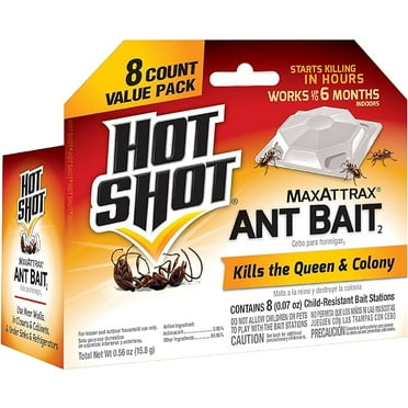 Hot Shot Bed Bug And Flea Home Insect Killer, Ready-to-Use, 1-Gallon ...