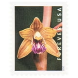 Wild Orchid Wild Orchids 20 USPS First Class Forever Postage Stamps for ...
