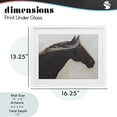Stupell Industries The Mare In Profile White Framed Print Under Glass ...