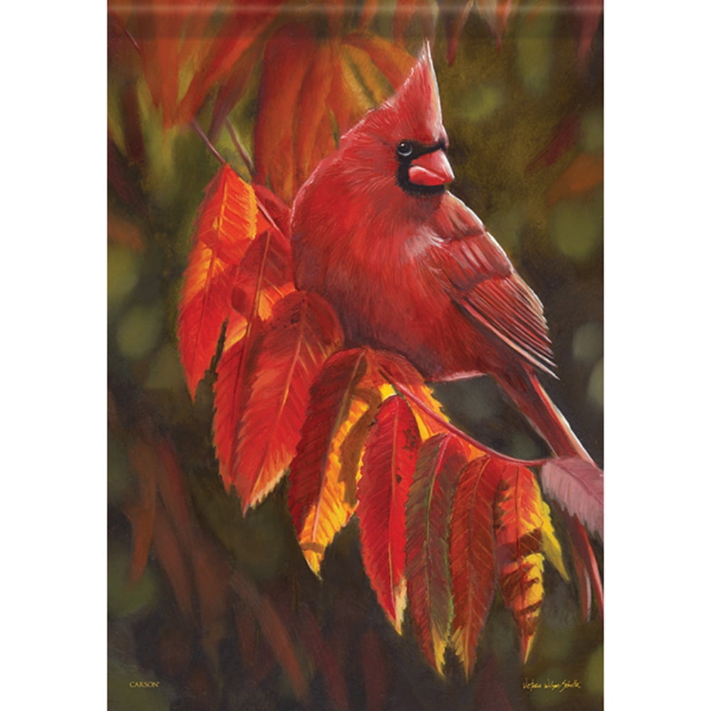Carson Cardinal in the Red Dura Soft Double Sided House Flag - Walmart.com